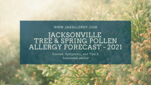 2021 Tree Pollen & Spring Allergies in Florida: What You Need to Know